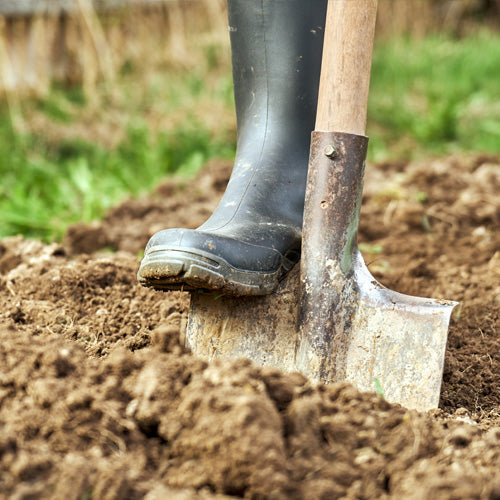 Getting Started - D.T. Brown Seeds Blog