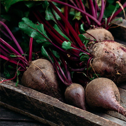 D. T. Brown's Customer Top Tips for Growing Beetroot.