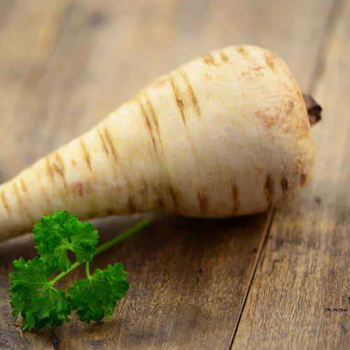 How to Grow Parsnips | Growing Guide | D.T. Brown