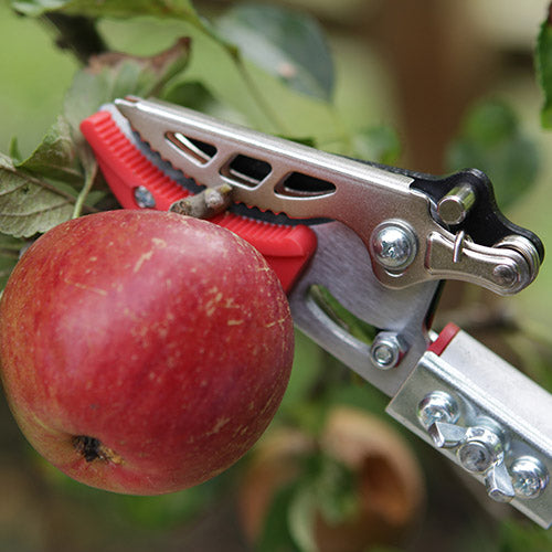 Darlac Snapper | Garden Tools & Accessories | D.T. Brown Seeds