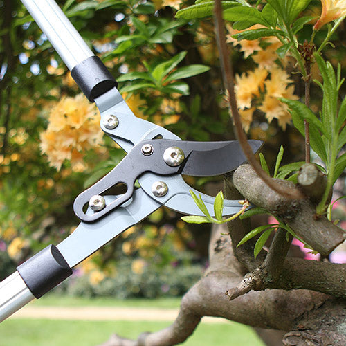Darlac Loppers | Shop our range of Darlac Loppers | D.T. Brown