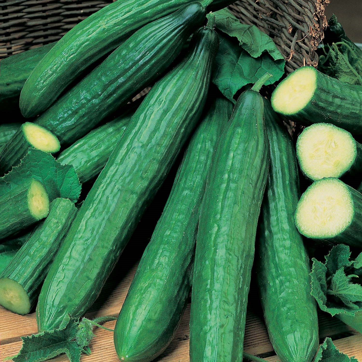 Cucumber Seeds | Cucumber Seeds for Sale | D.T. Brown