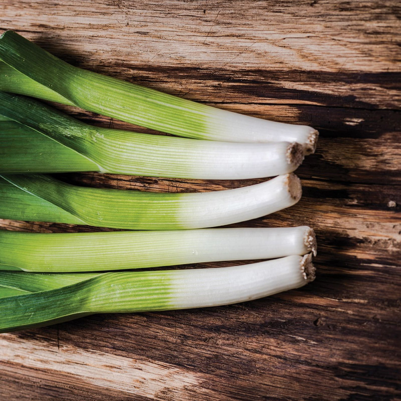 Leek Seeds | Leeks from Seed | D.T. Brown