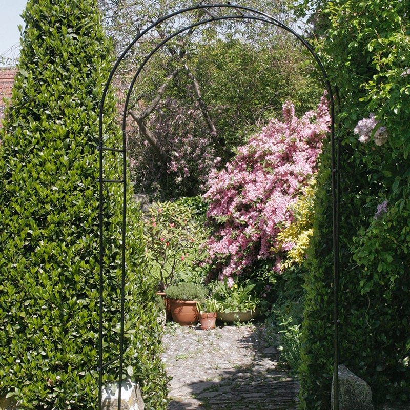 Plant Support | Garden Plant Supports | D.T. Brown