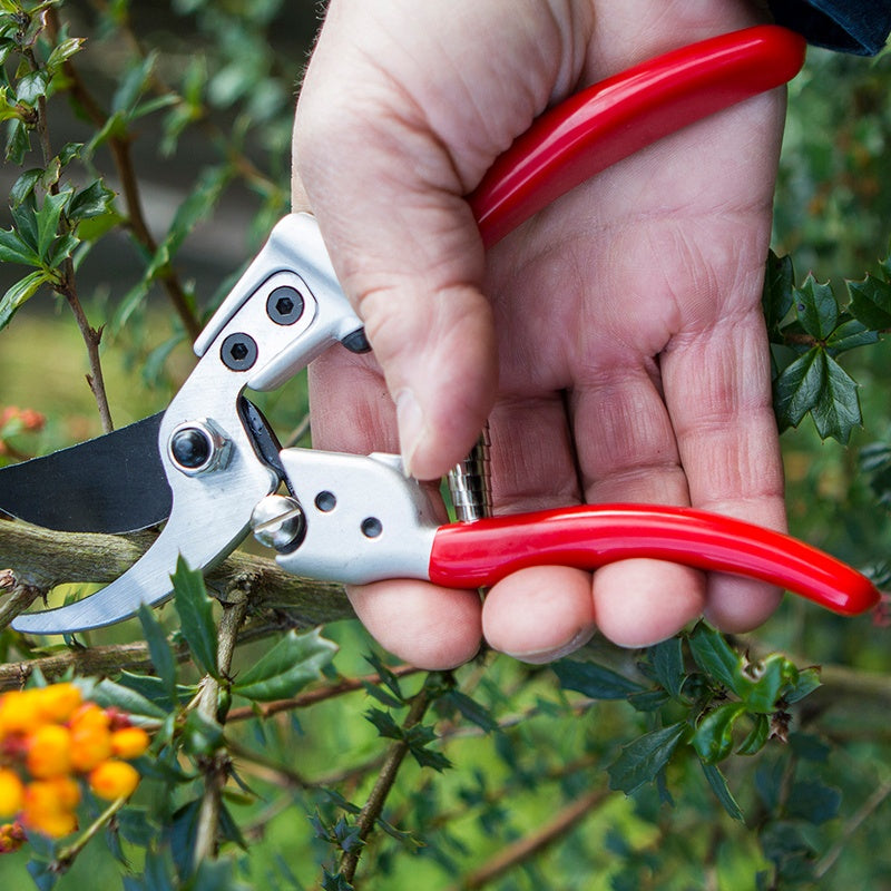 Darlac Tools | Darlac Range | D.T. Brown