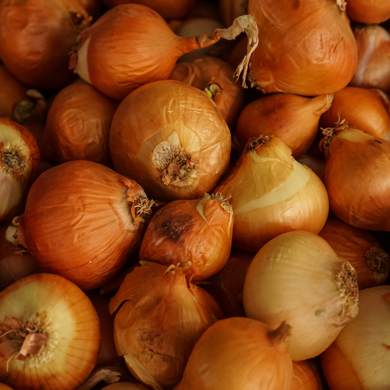 Onion Sets | Allium Sets | D.T. Brown