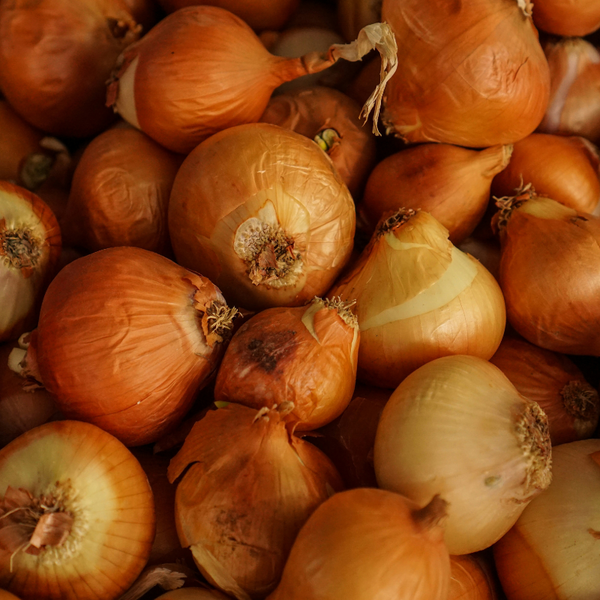 Onion Sets | Allium Sets | D.T. Brown