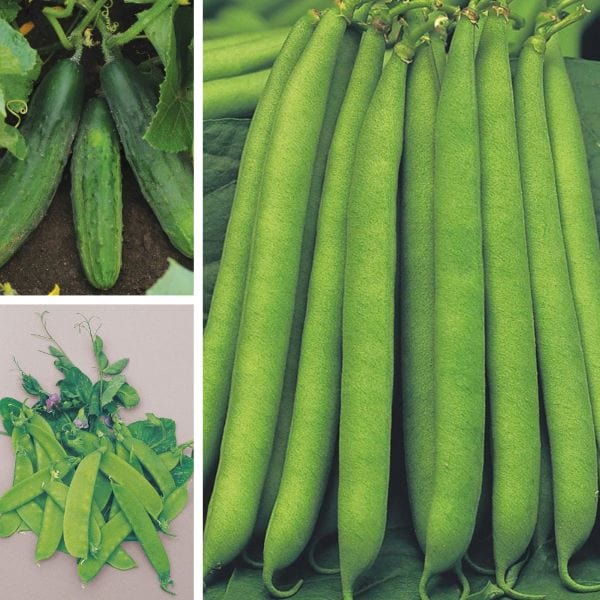 Better together: Soil & Crunch