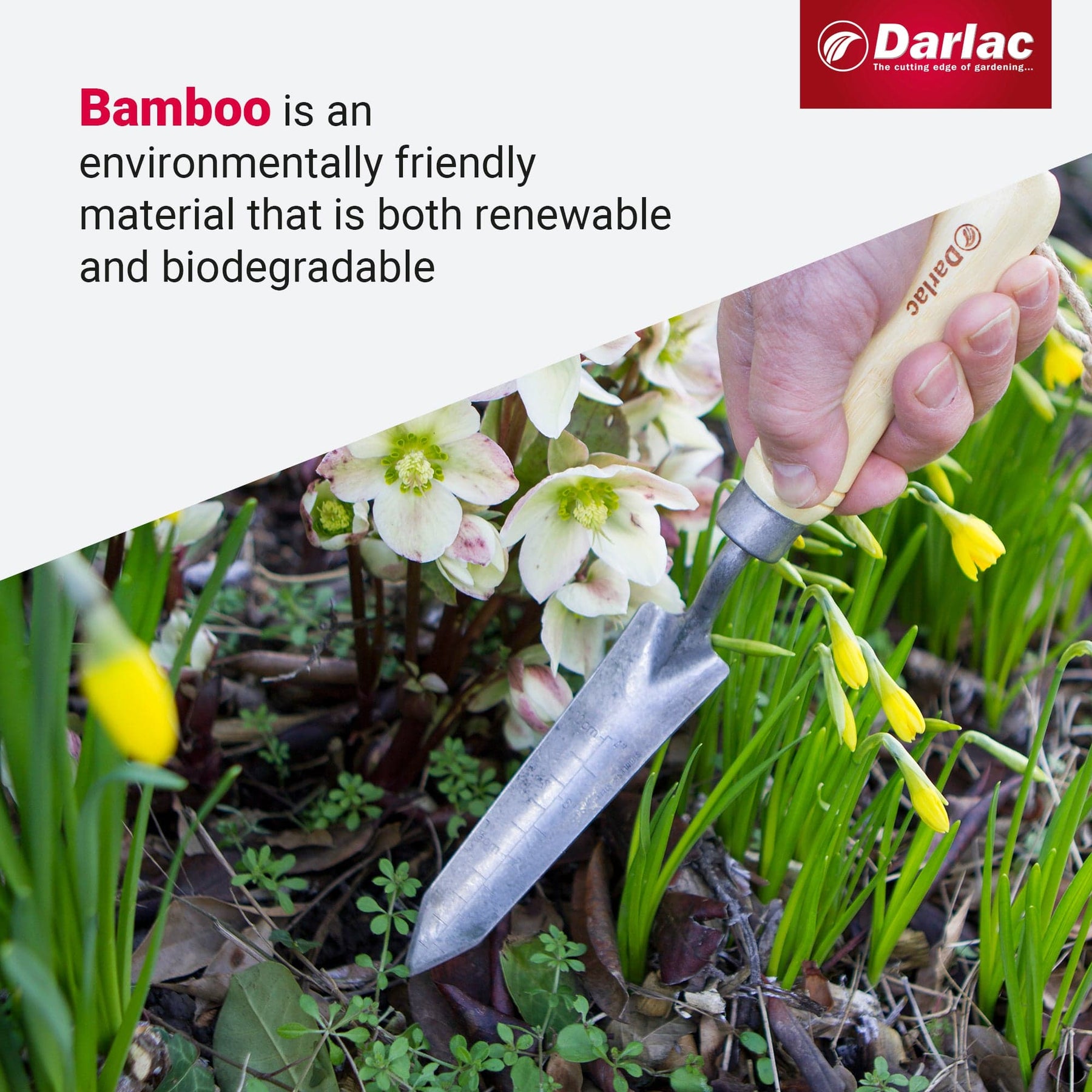 Darlac Bamboo Rockery Trowel From D.T. Brown