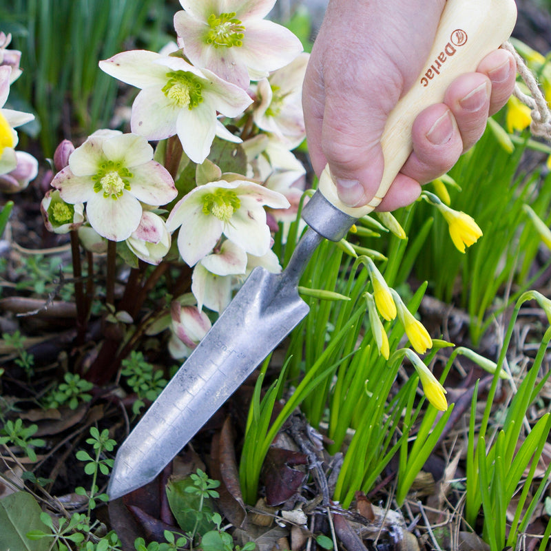 Darlac Bamboo Rockery Trowel From D.T. Brown