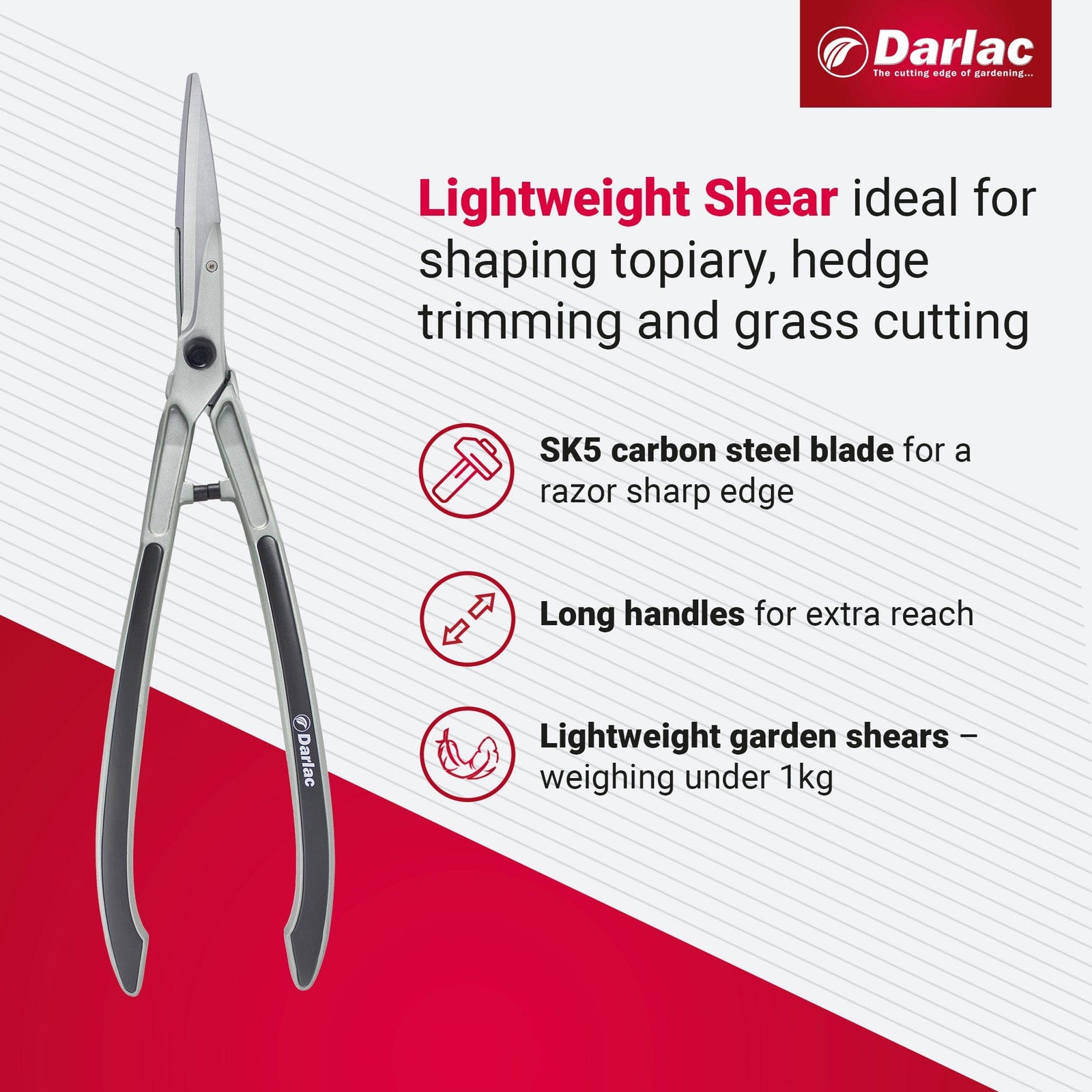 Darlac Lightweight Shear 8in from D.T. Brown