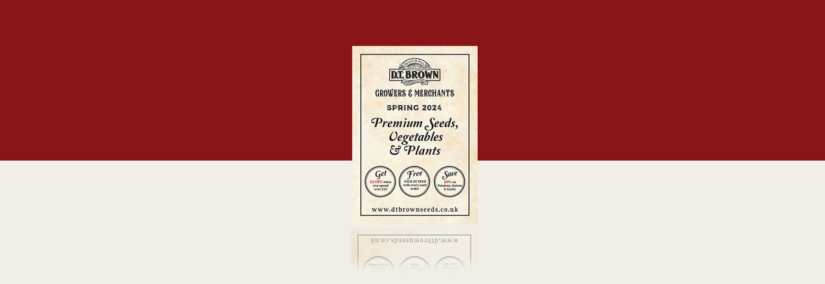 D.T. Brown Product Catalogue