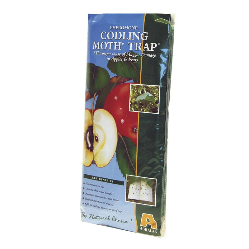 Codling Moth Trap from D.T. Brown Seeds