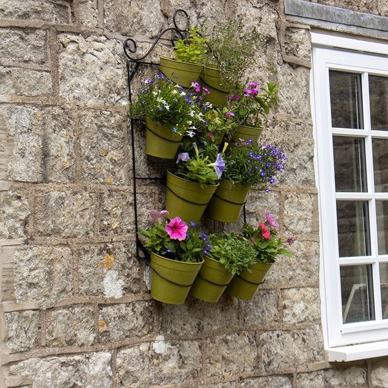 Wall Pot Hanger from D. T. Brown Plants and Seeds
