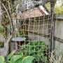 Rope Trellis 1.2m from D. T. Brown Plants and Seeds.