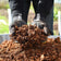 Coco Grow Pure Coir Chip Mulch From D.T. Brown