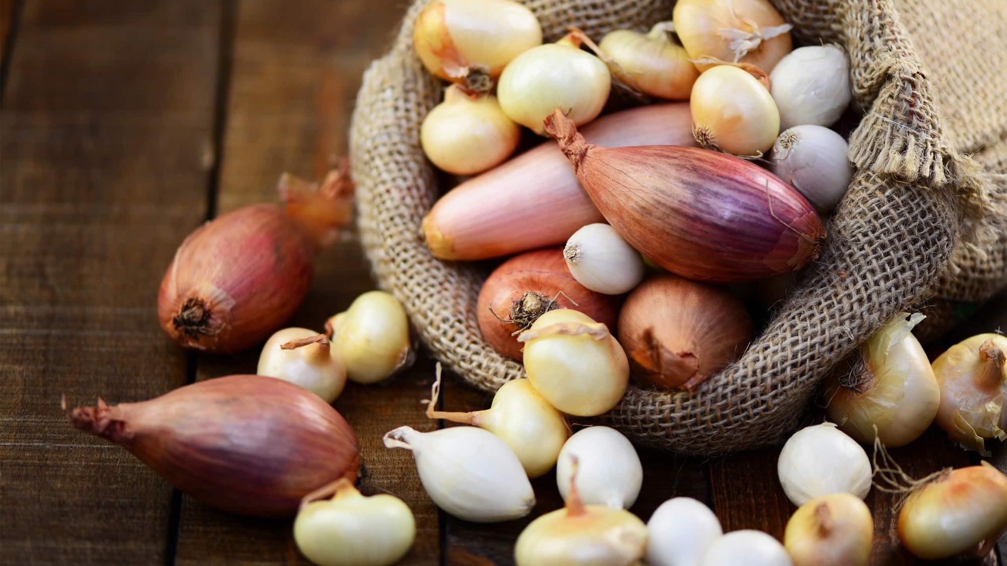 D.T. Brown Seeds | DT Brown | Shop Online Today!