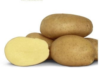 Potato Francis | Seed Potatoes | D.T. Brown Seeds and Plants
