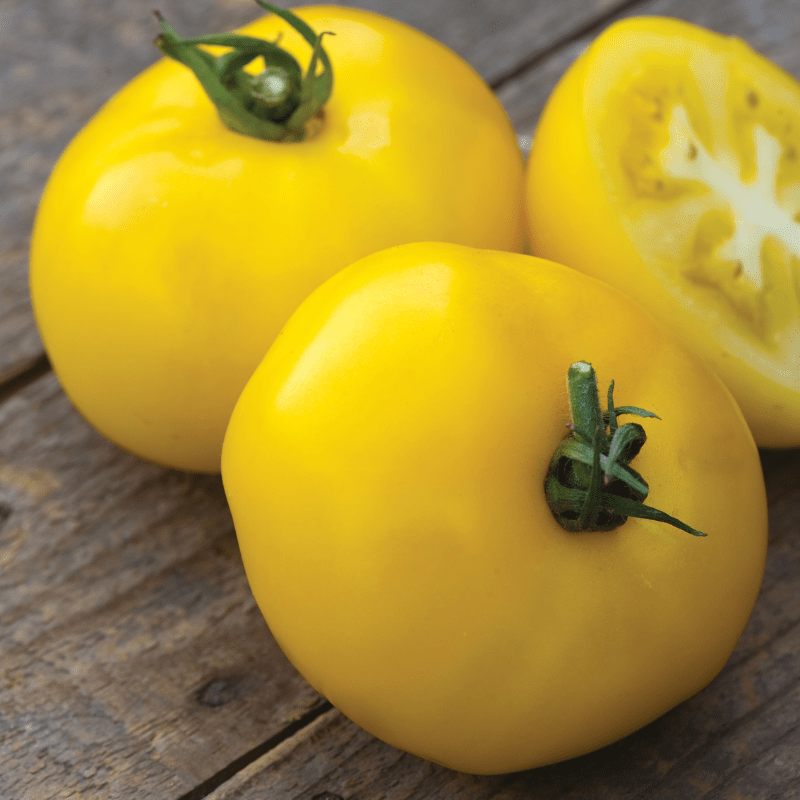 Tomato Lemonita F1 |D.T.Brown