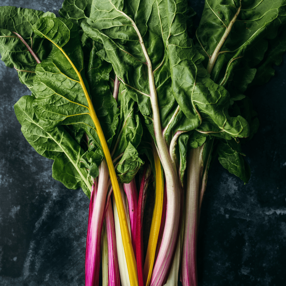 How To Grow Chard From Seed | D.T. Brown