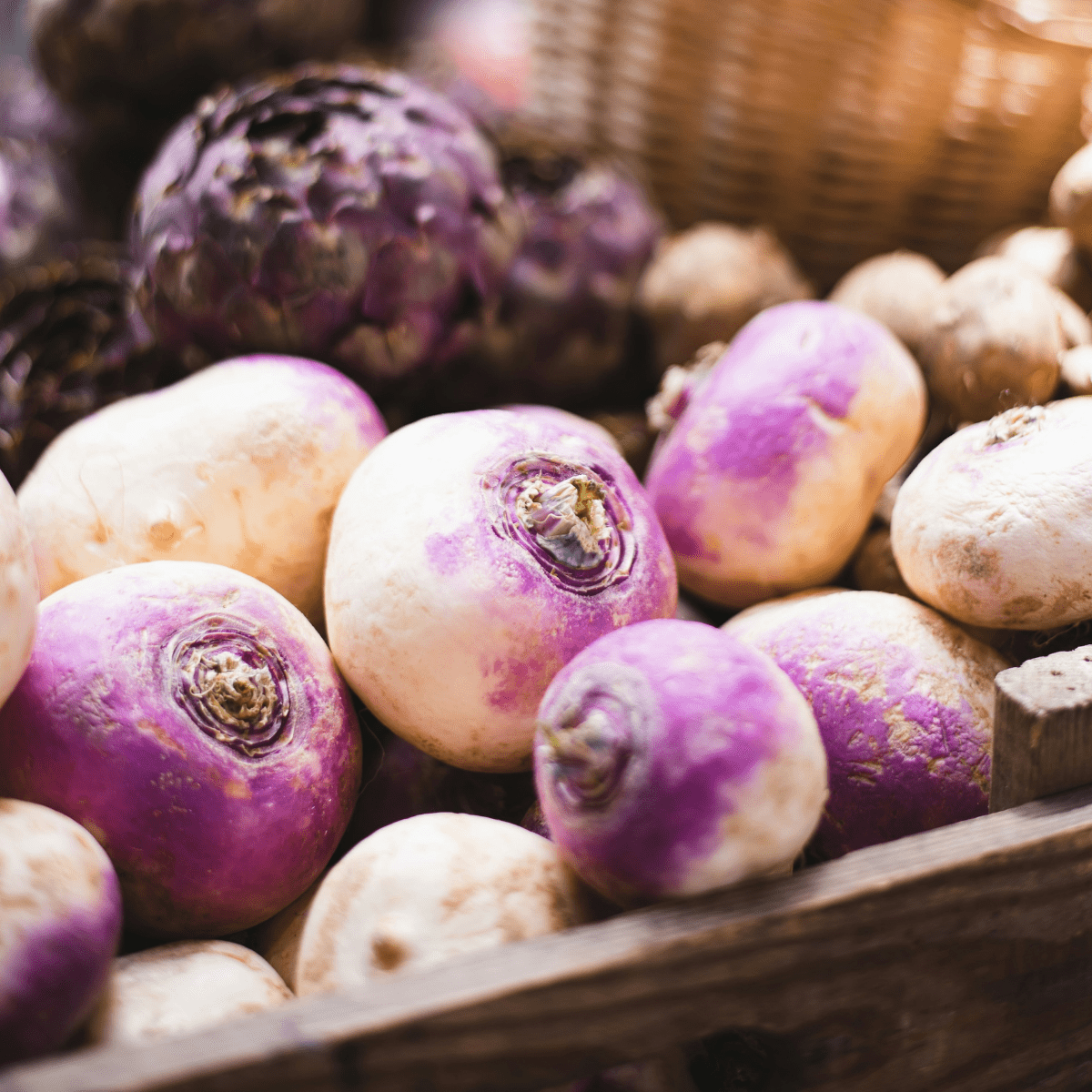 How To Grow Turnip From Seed | D.T. Brown