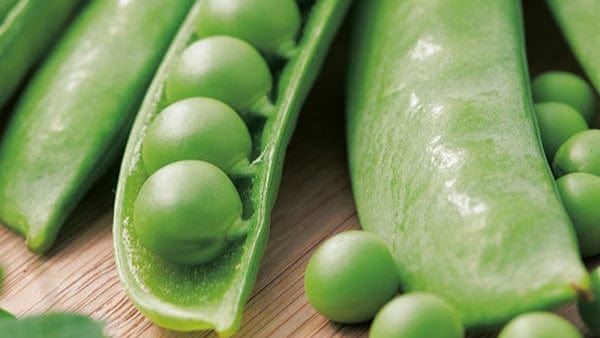 How To Grow Peas from Seed | D.T. Brown